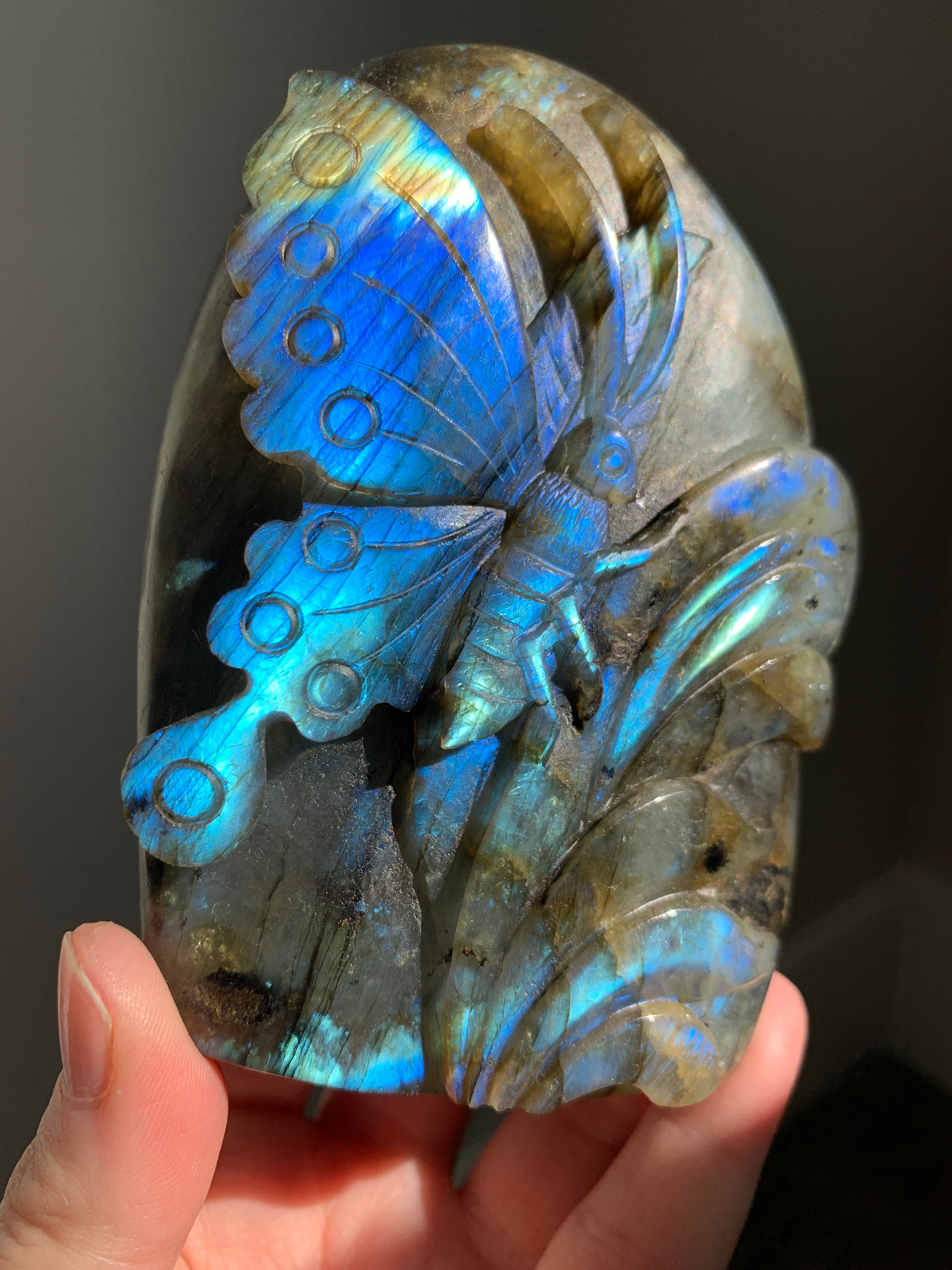 Crystals For Days | Labradorite Carvings Collection